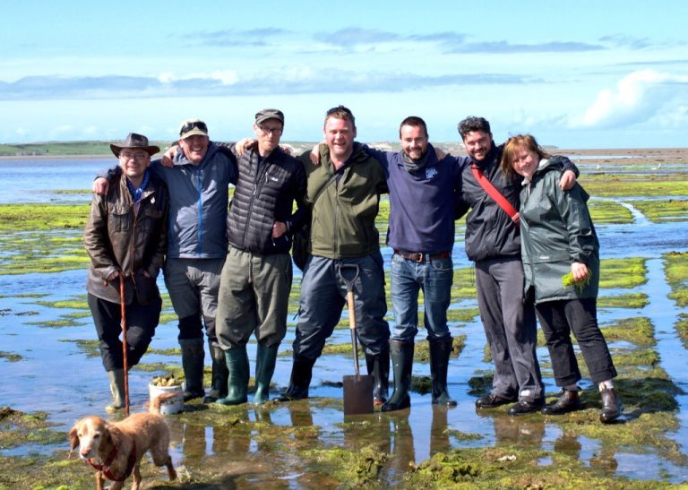 Galloway Wild Foods – Foraging in Scotland's bountiful Southwest