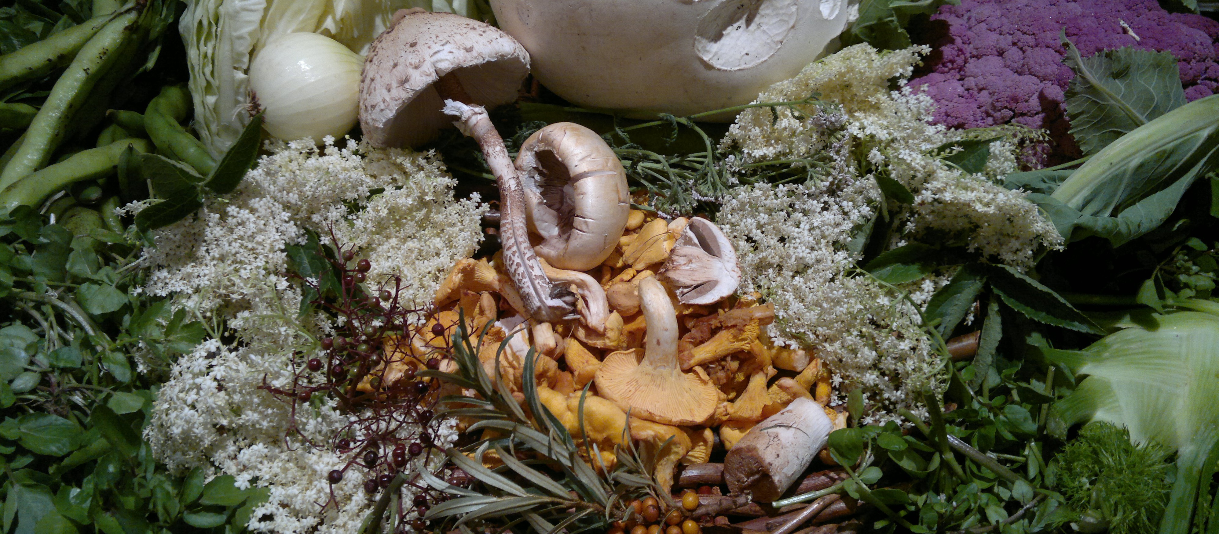 autumn bounty – Galloway Wild Foods