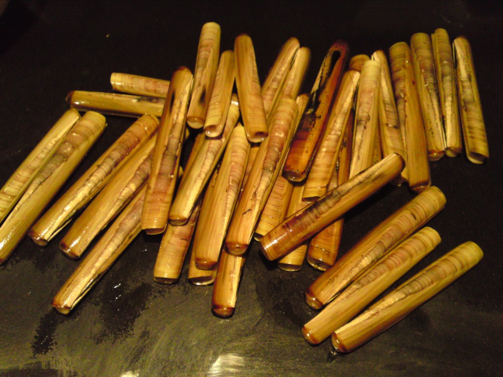 Razor Clams/Spoot Clams – Edibility, Identification, Distribution ...