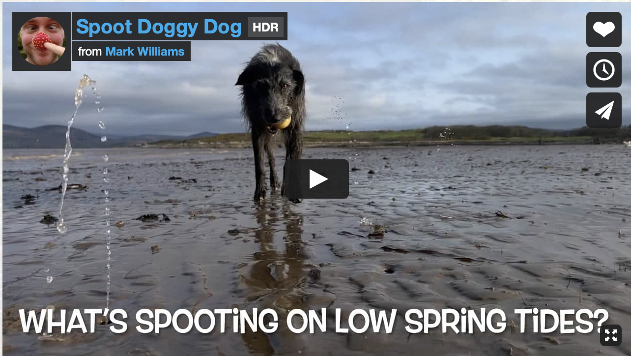 Videos – Galloway Wild Foods