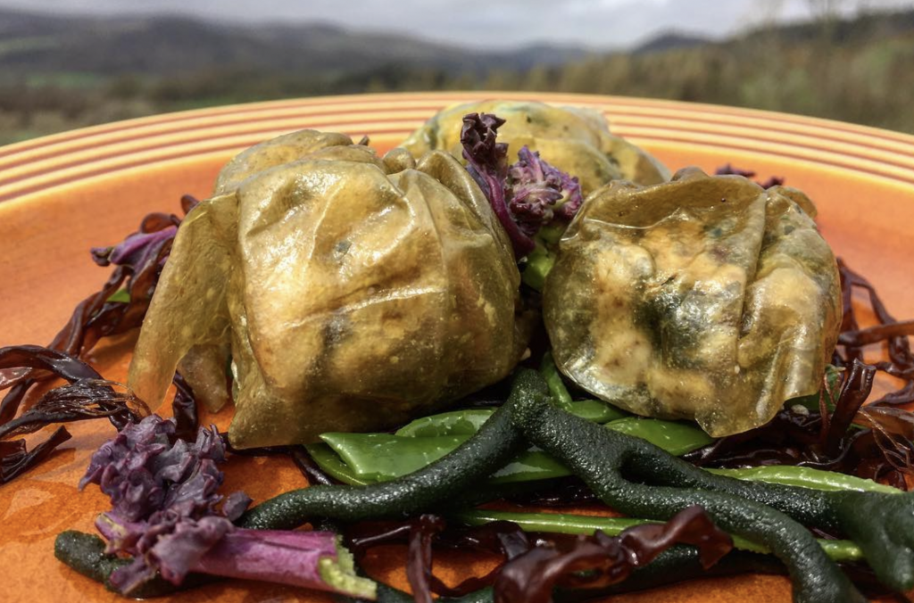 Sea Kale – identification, edibility, distribution, ecology ...