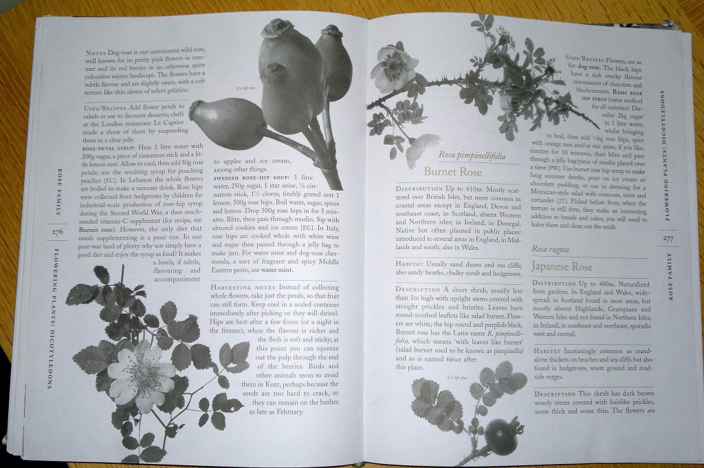 Black and white photography in The Forager’s Handbook – Galloway Wild Foods