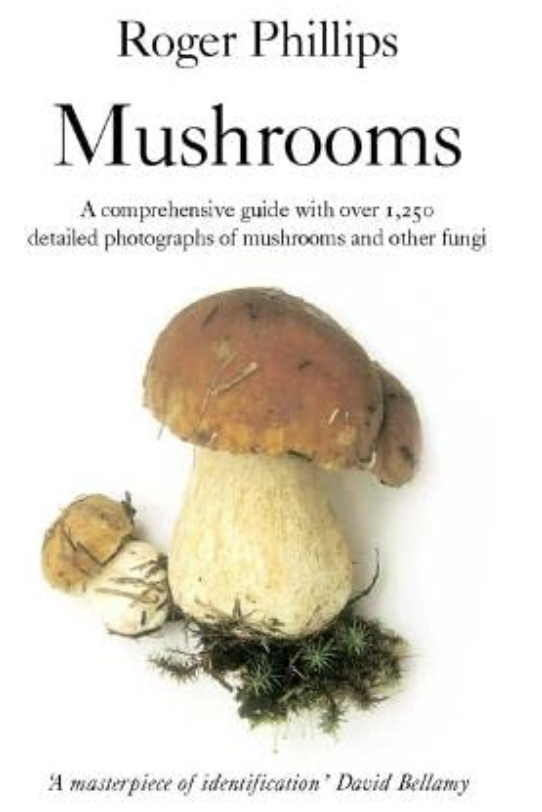 Review of fungi Identification Guidebooks – Galloway Wild Foods