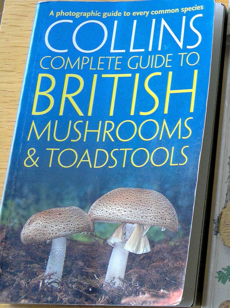 Review of fungi Identification Guidebooks – Galloway Wild Foods