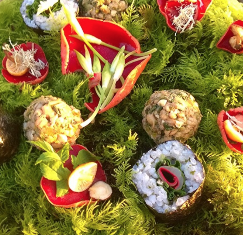 Scarlet Elf Cup – Identification, Edibility, Distribution, Ecology ...