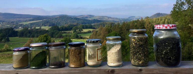 Wild Spices of the UK – Galloway Wild Foods