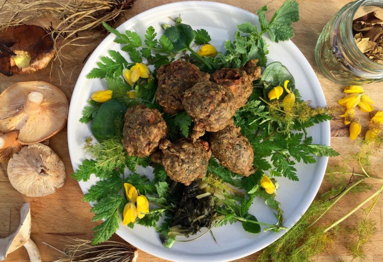 Wild Spices of the UK – Galloway Wild Foods