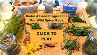 Wild Spices of the UK – Galloway Wild Foods