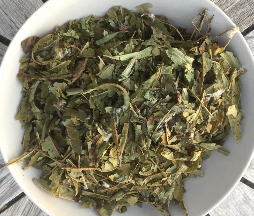 Rosebay Willowherb/Fireweed – Edibility, Identification, Distribution ...