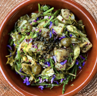 Bush and Tufted Vetch – Identification, Edibility, Distribution ...