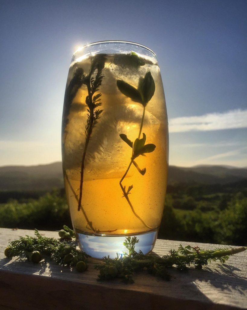 Pineapple Weed – Identification, Edibility, Distribution, Ecology ...