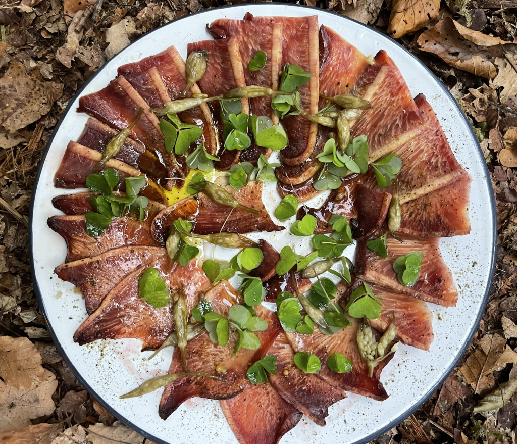 Wild Mushroom & Bushcraft Camp, Perthshire – Galloway Wild Foods