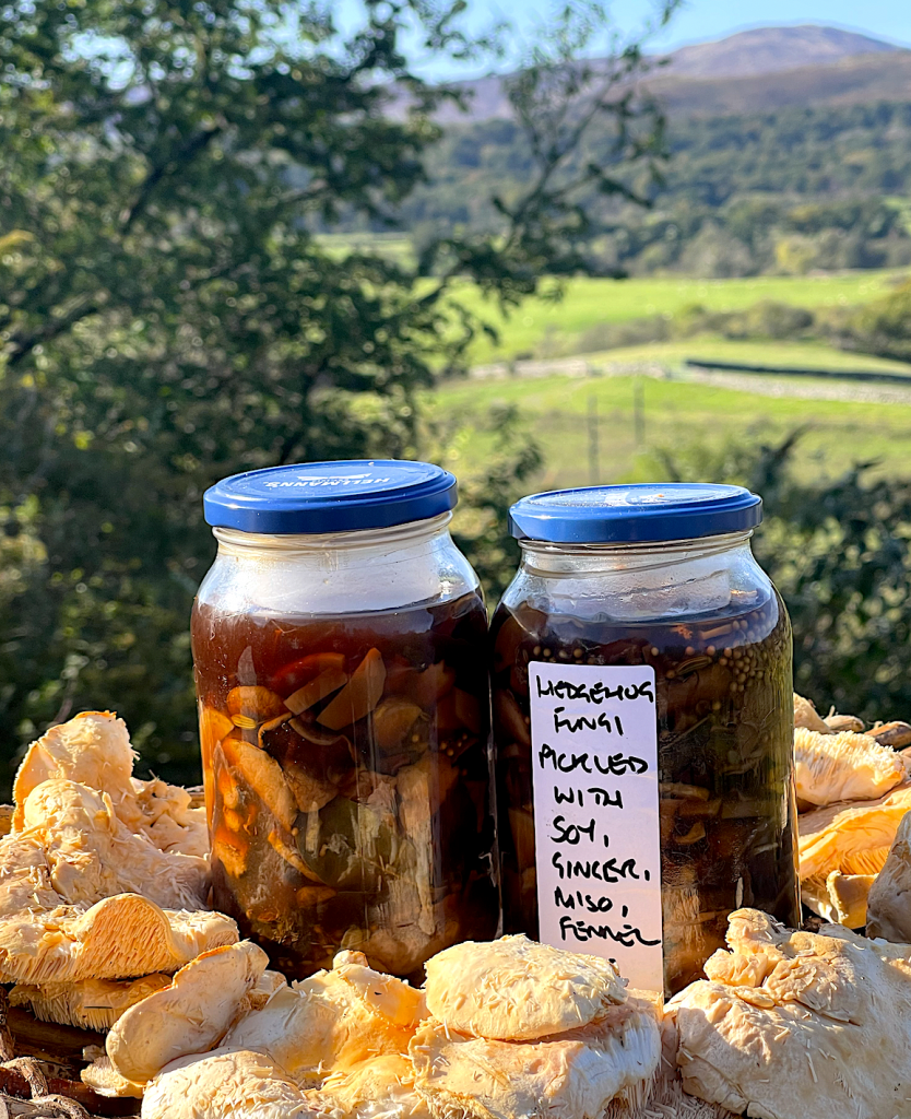 How To Pickle Wild Mushrooms – Galloway Wild Foods