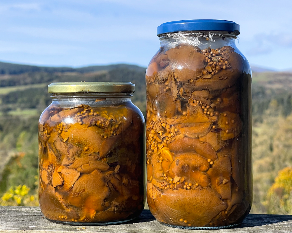 How To Pickle Wild Mushrooms – Galloway Wild Foods