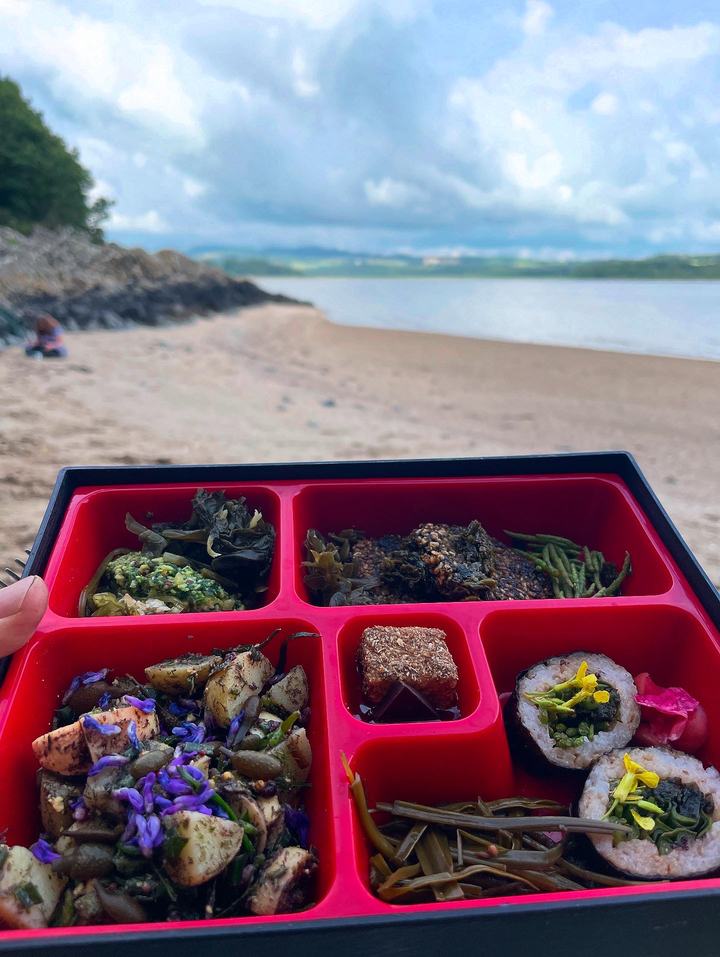Wild Bento Boxes – Galloway Wild Foods