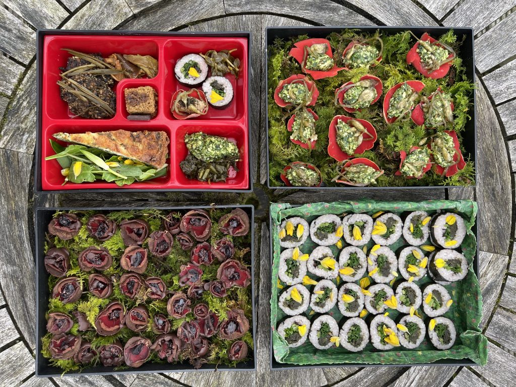 Wild Bento Boxes – Galloway Wild Foods