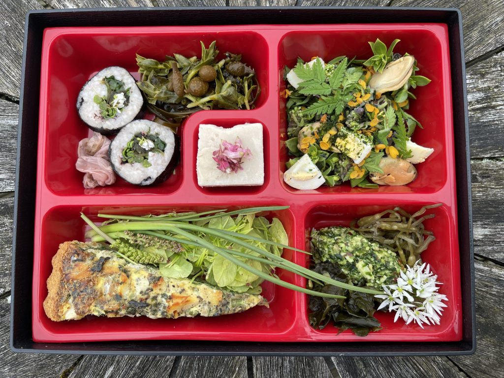Wild Bento Boxes – Galloway Wild Foods